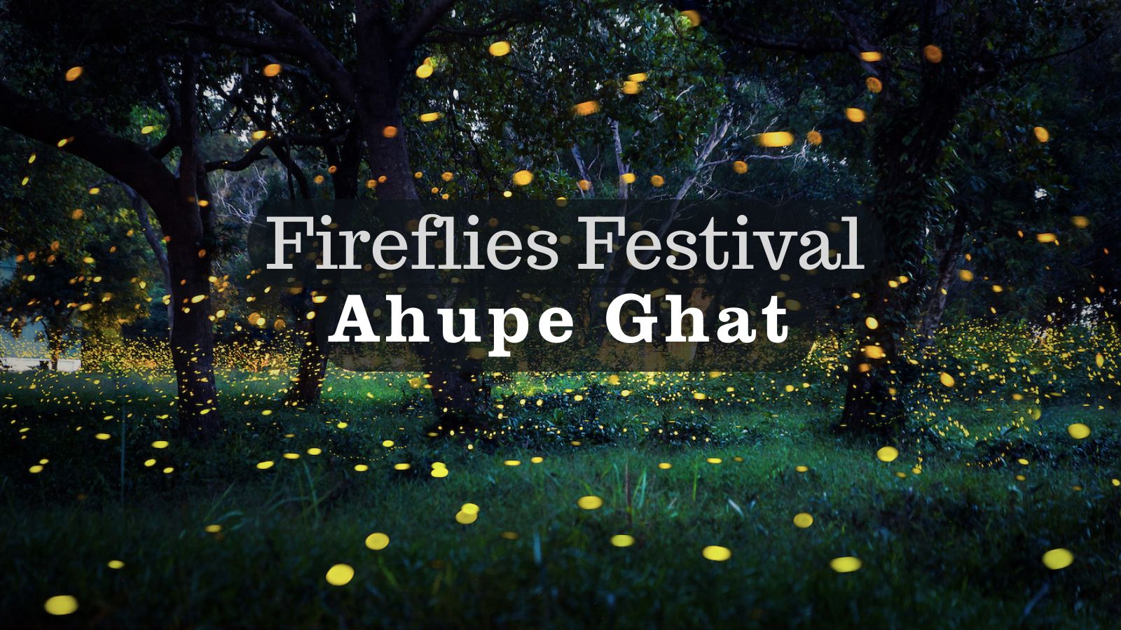 Ahupe Ghat Fireflies Festival 2025 | Glow in the Hills of Ahupe